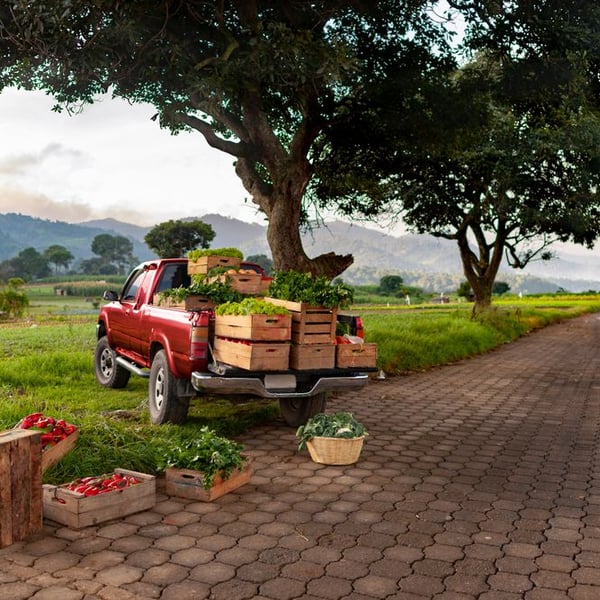 The Ultimate Guide to Understanding Your Car’s Safe Carrying Capacity ...